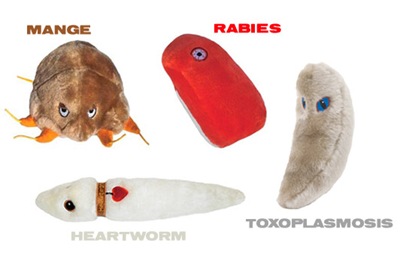 Stuffed Toys - Bacteria, Viruses and Parasites | Amusing Planet
